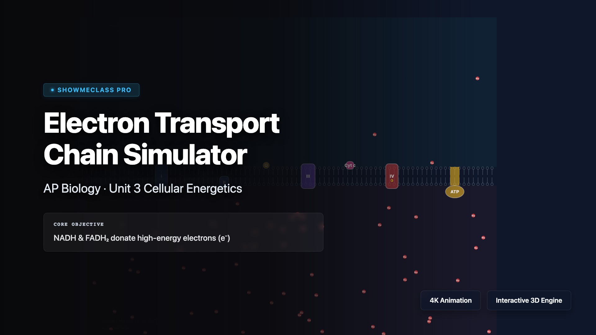 Electron Transport Chain Simulator | Ap Biology | ShowMeClass | ShowMeClass