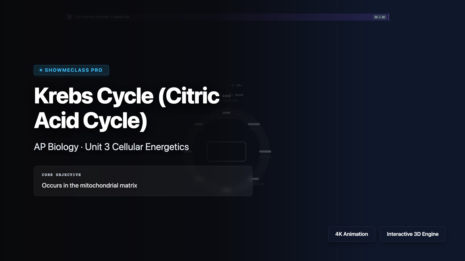 Krebs Cycle Step-by-Step | Ap Biology | ShowMeClass | ShowMeClass